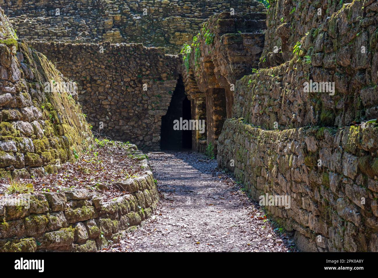 Entrance to the Maya labyrinth or structure 19, Yaxchilan, Chiapas ...