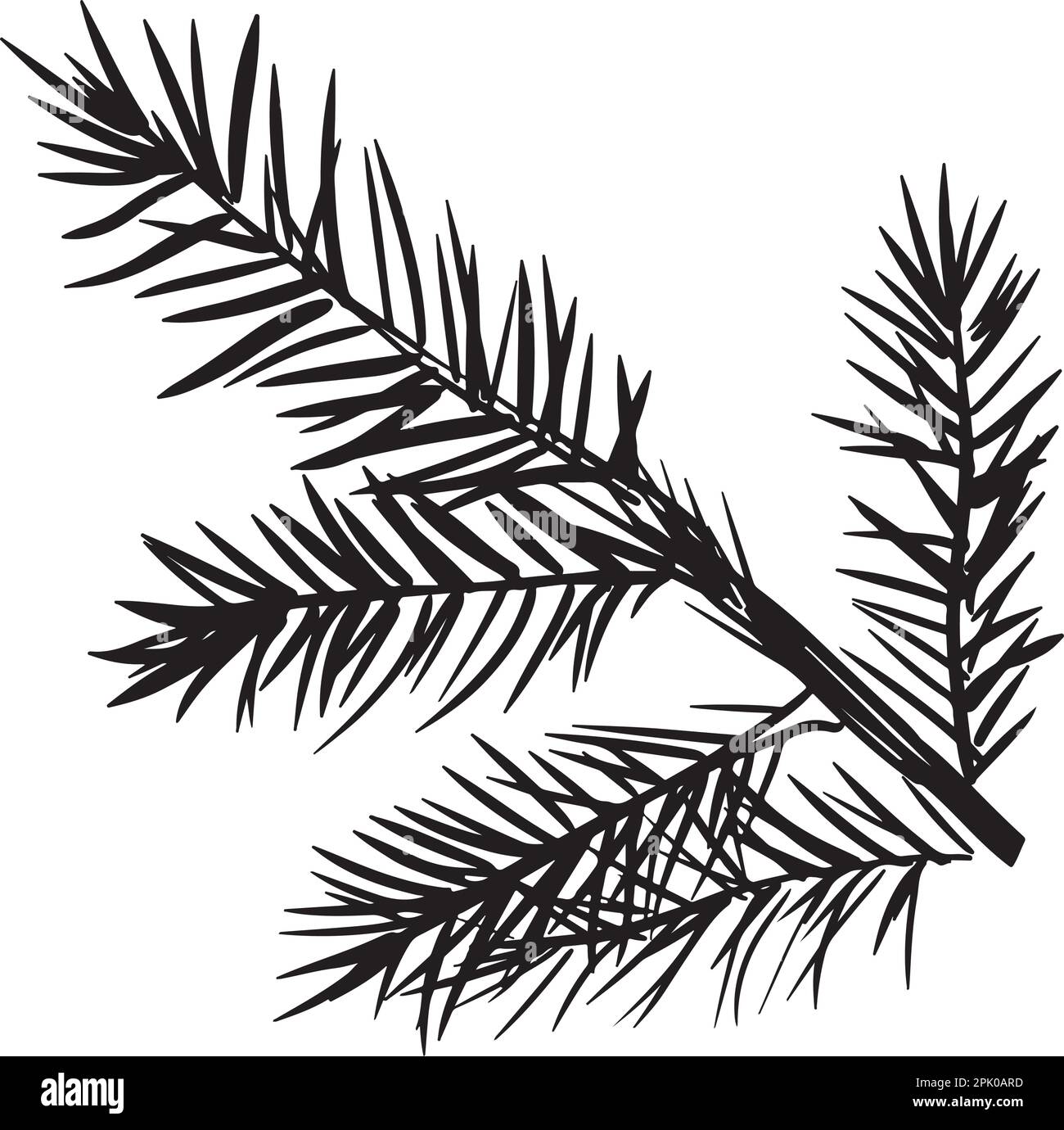 Pine Branch Silhouette