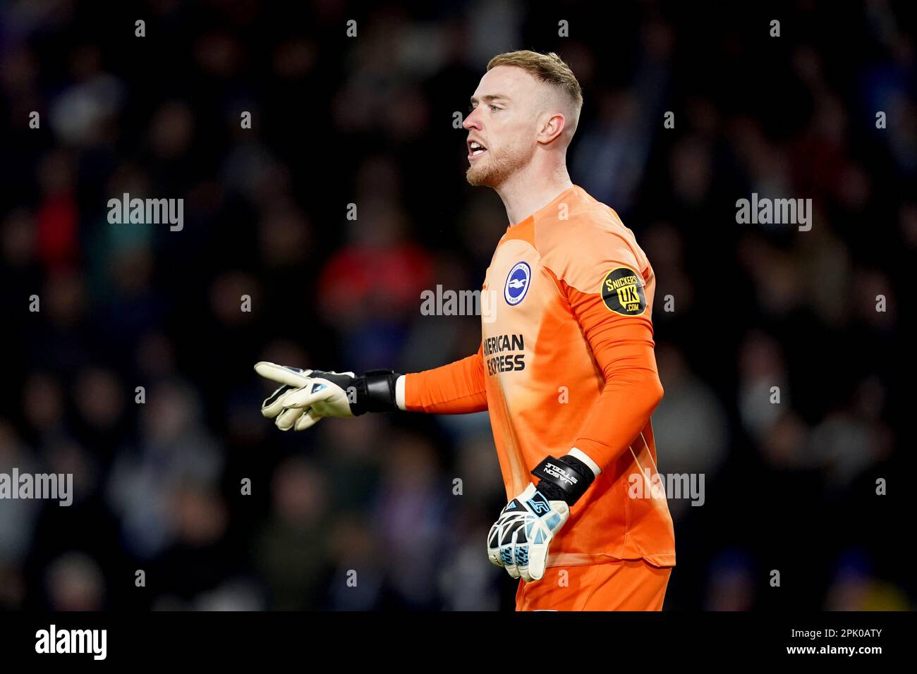 Brighton and Hove Albion goalkeeper Jason Steele during the Premier ...