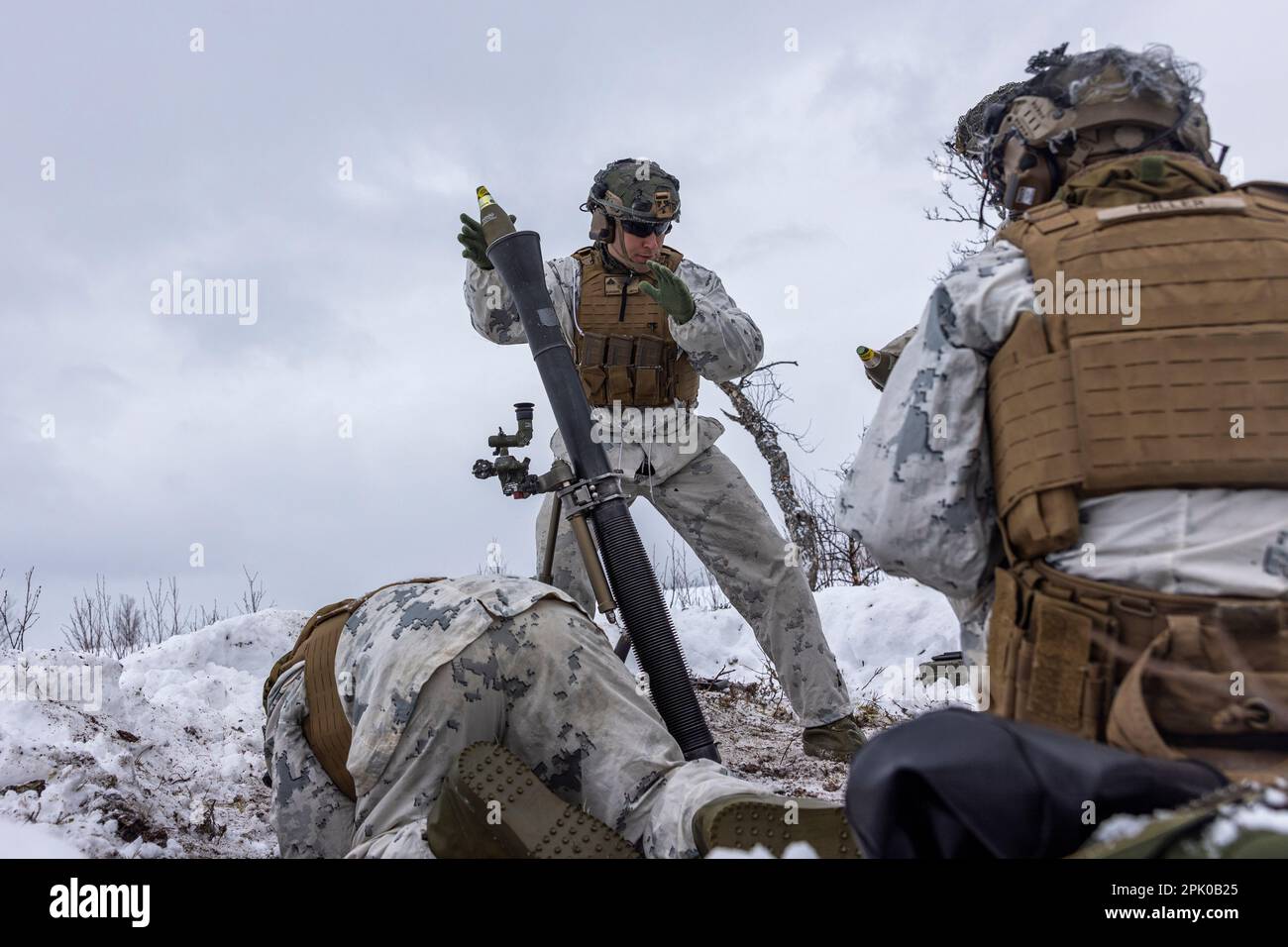 U.S. Marines with 2d Combat Engineer Battalion, 2d Marine Division ...