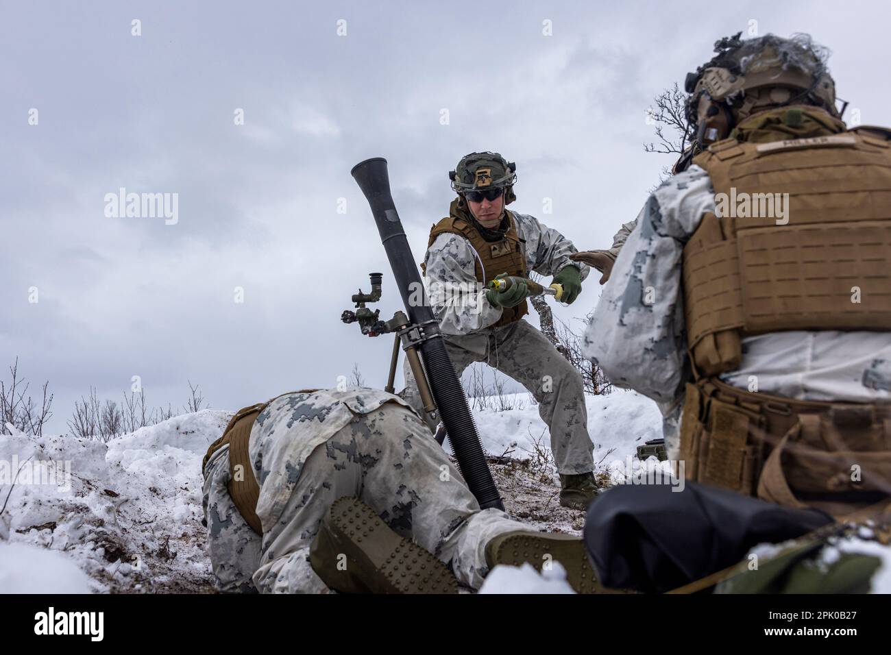 U.S. Marines with 2d Combat Engineer Battalion, 2d Marine Division ...
