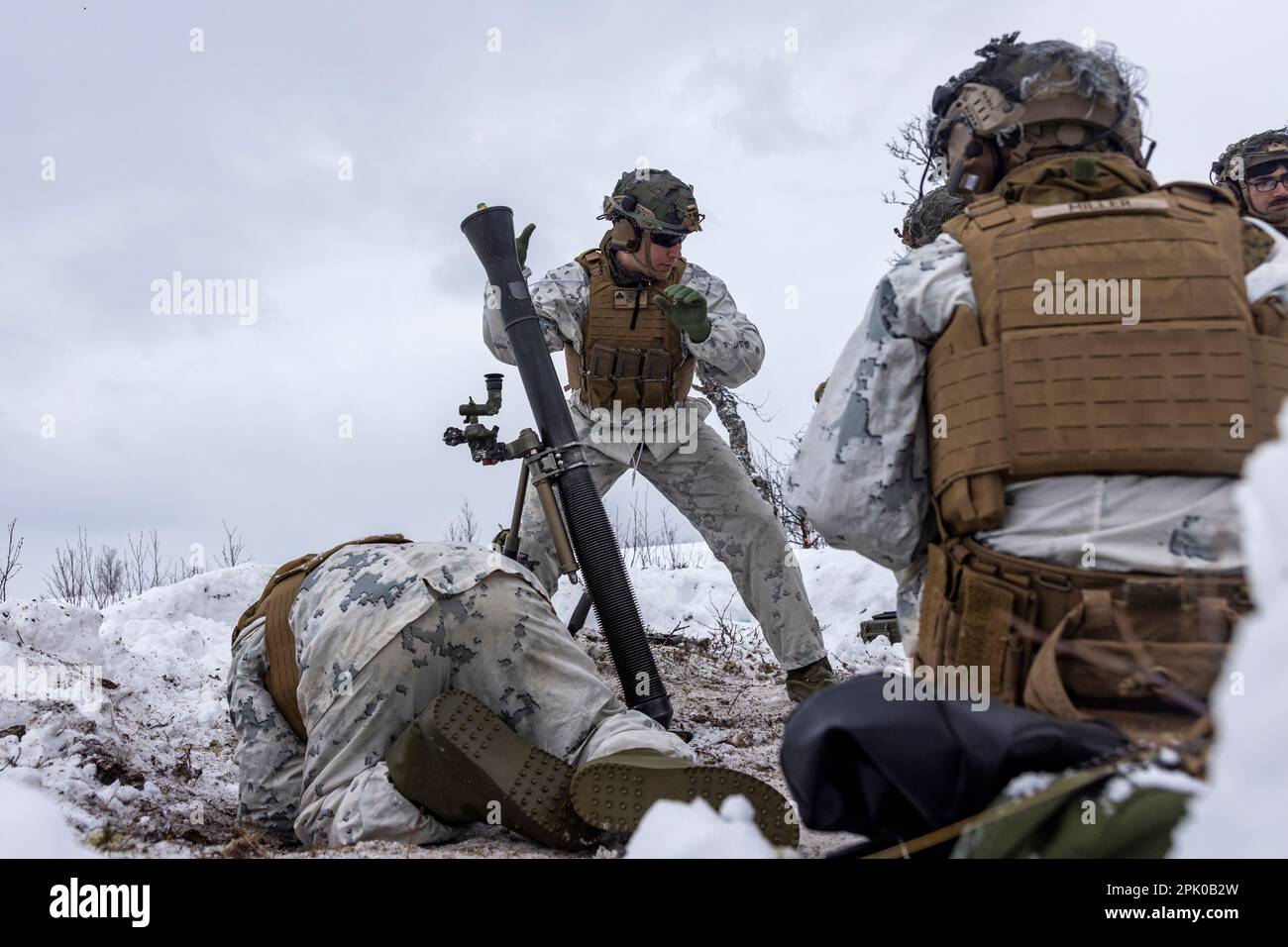 U.S. Marines with 2d Combat Engineer Battalion, 2d Marine Division ...