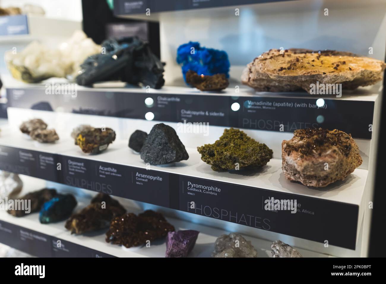 different kinds of minerals displayed in Wollaton Hall, Uk. High ...