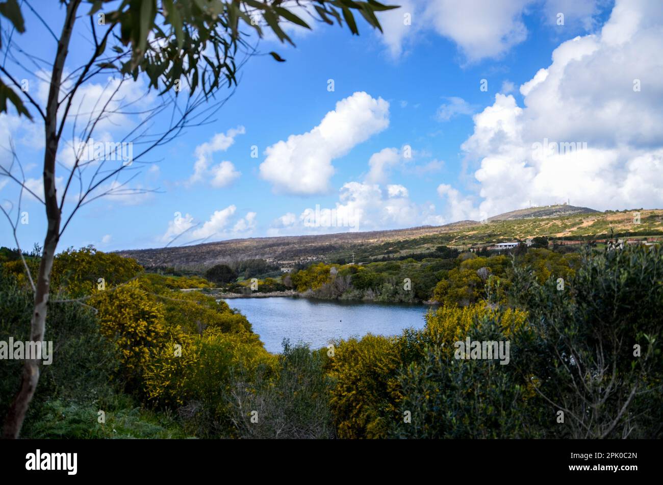 Tunis, Tunisia. 4th Apr, 2023. Bizerte, Tunisia, 04 April 2023: A ...