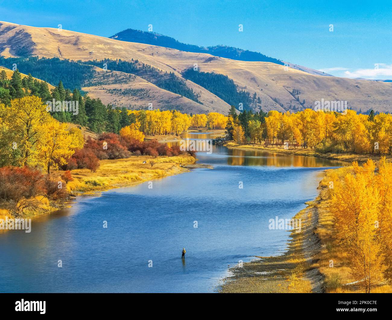 fisherman and fall colors along the bitterroot river near missoula ...