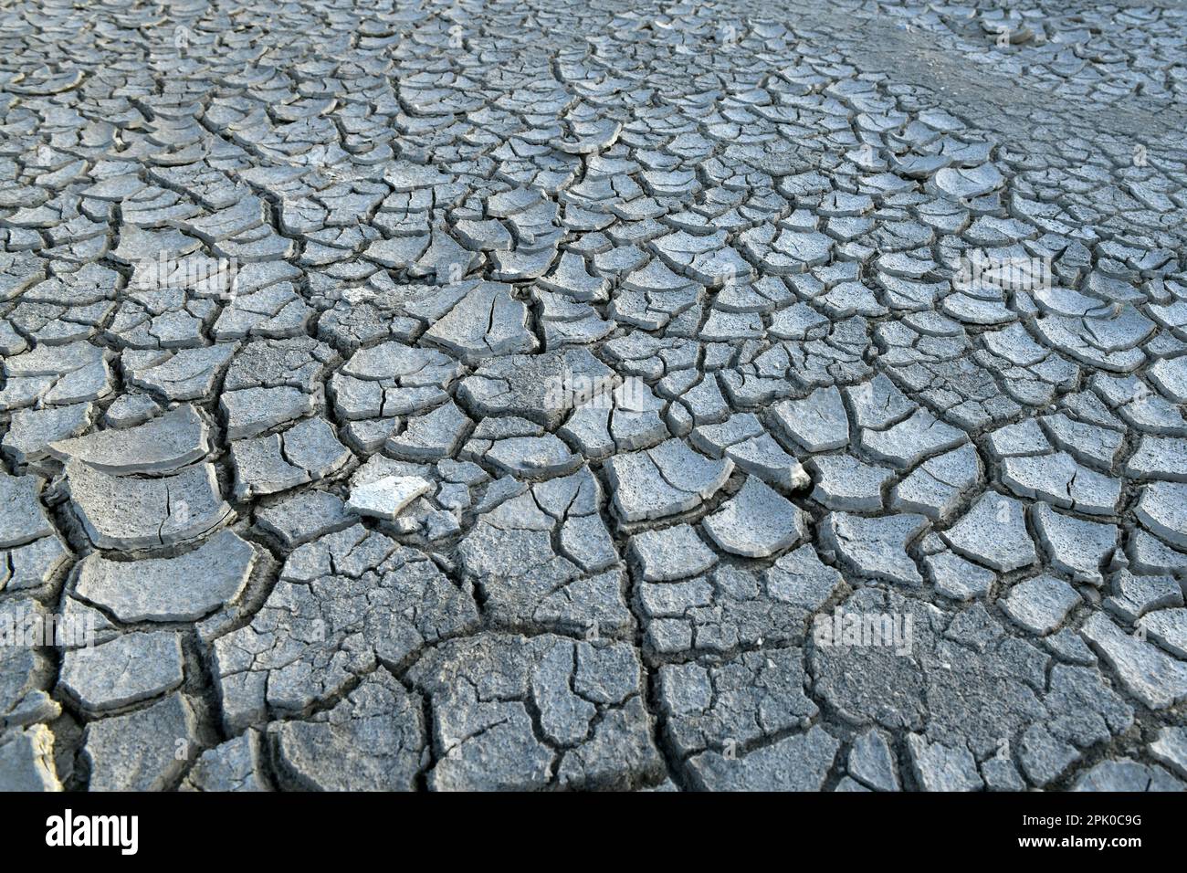Dried wasteland with cracked brown mud surface. Closeup panorama with ...