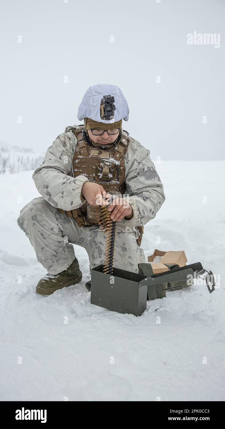 U.S. Marines with 2d Combat Engineer Battalion, 2d Marine Division ...