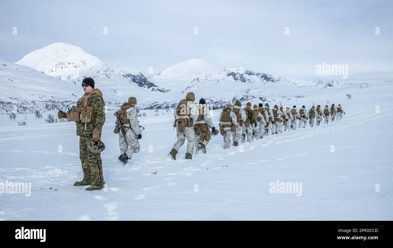 U.S. Marines with 2d Combat Engineer Battalion, 2d Marine Division ...