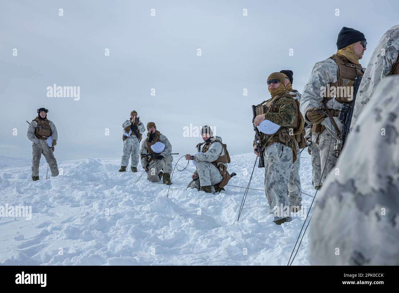 U.S. Marines with 2d Combat Engineer Battalion, 2d Marine Division ...