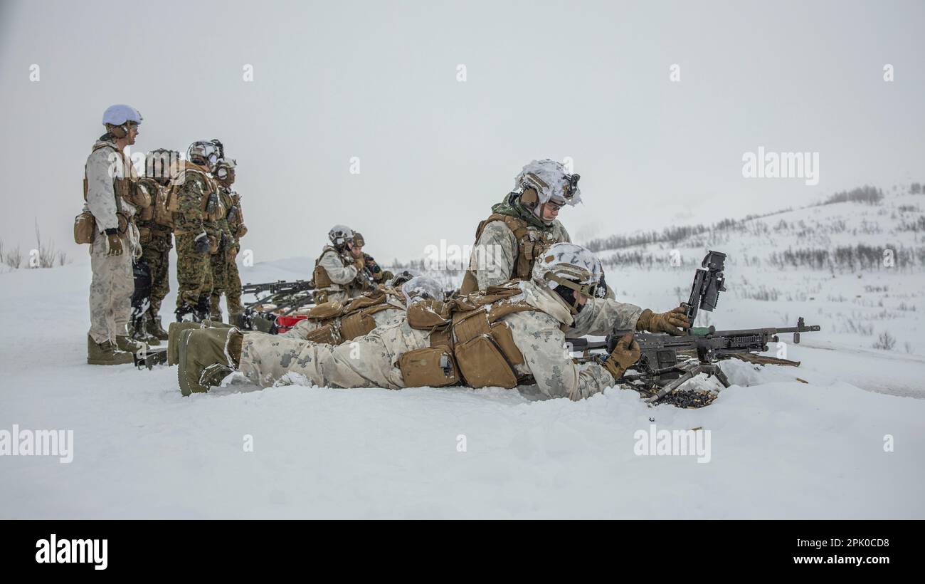 U.S. Marines with 2d Combat Engineer Battalion, 2d Marine Division ...