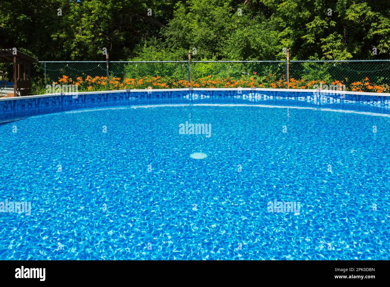 Above ground swimming pool in backyard in summer Stock Photo - Alamy