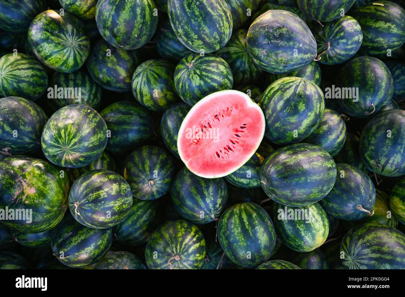 watermelon slice in watermelon field - fresh watermelon fruit on ...