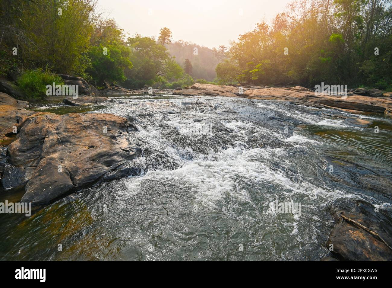 River stream waterfall in forest landscape, beautiful nature water ...