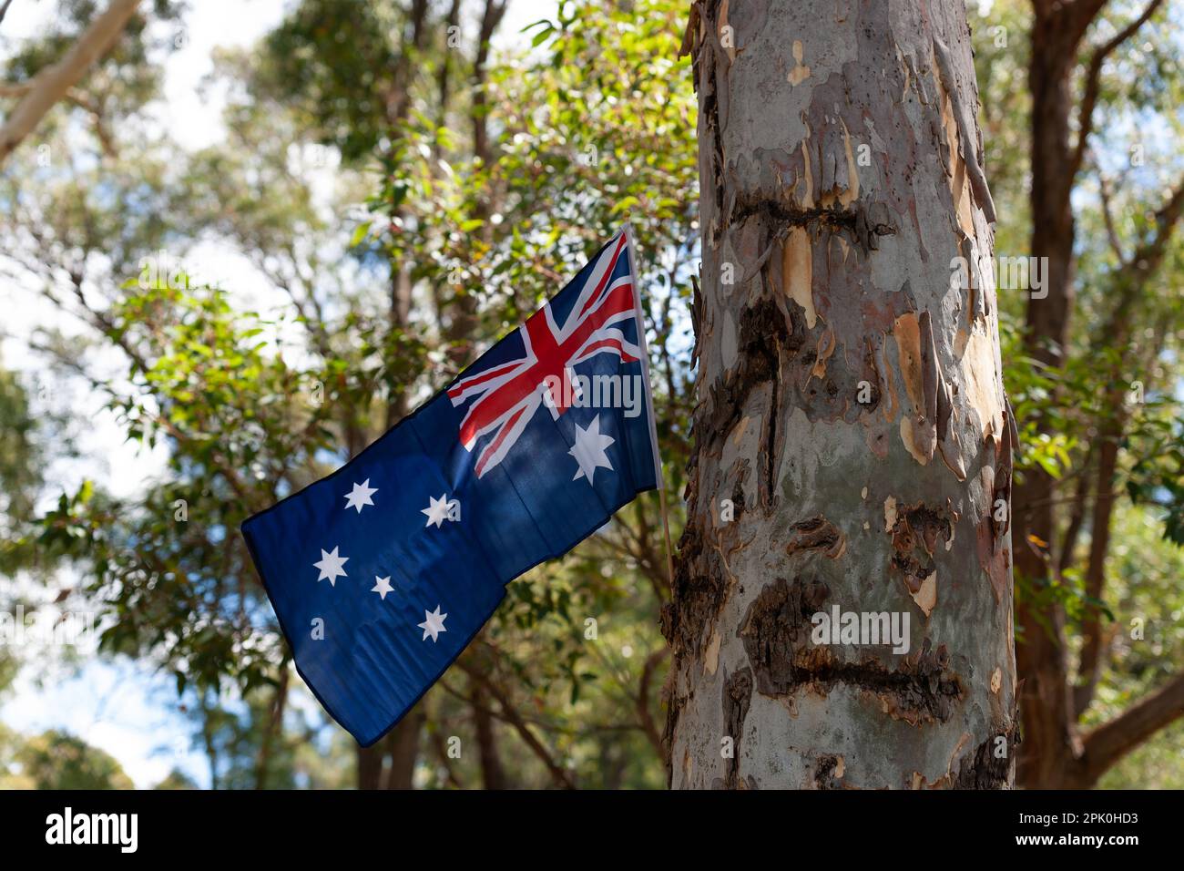 Australian botanical gardens canberra hi-res stock photography and ...