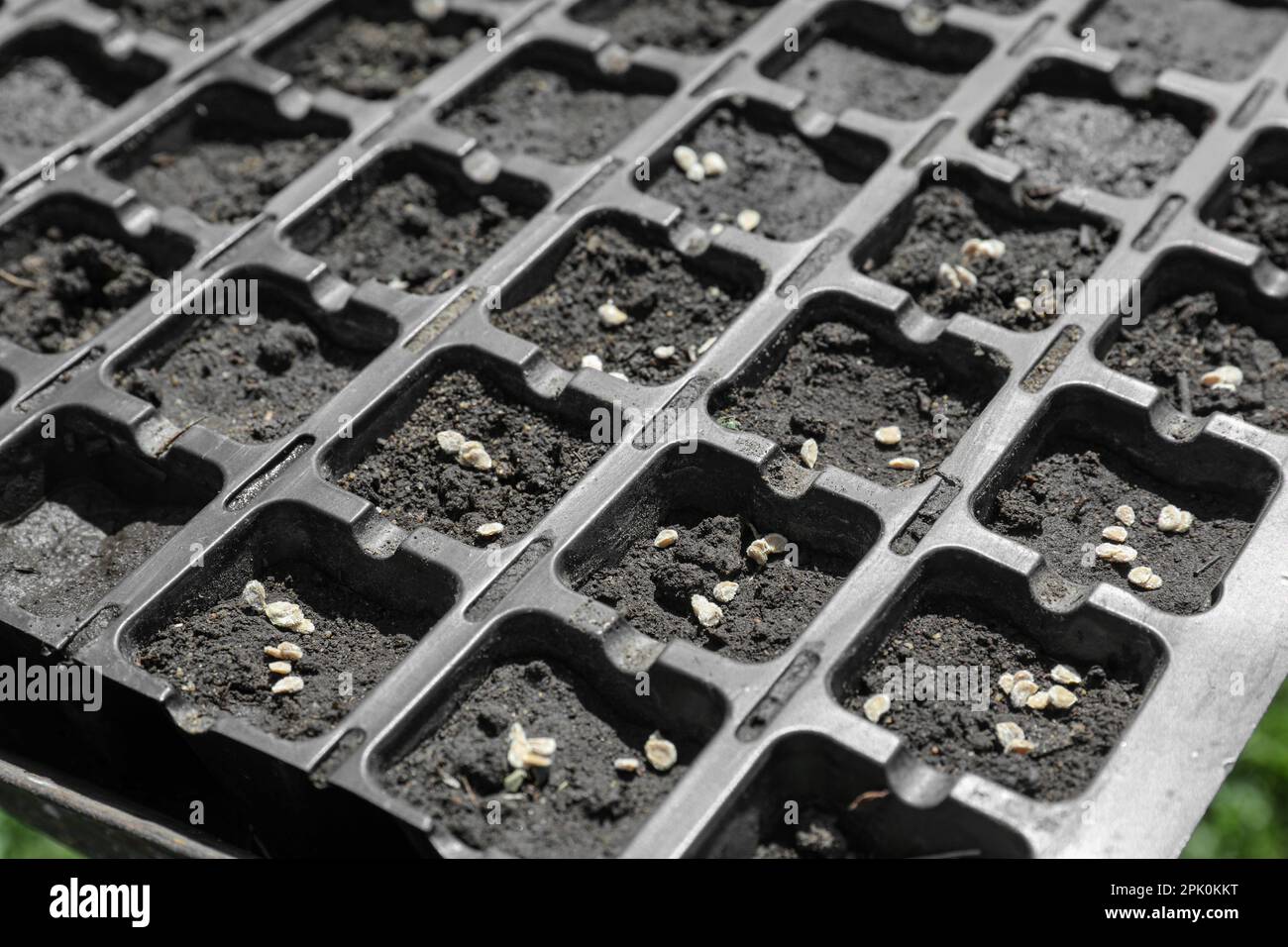 Plastic seed hi-res stock photography and images - Alamy