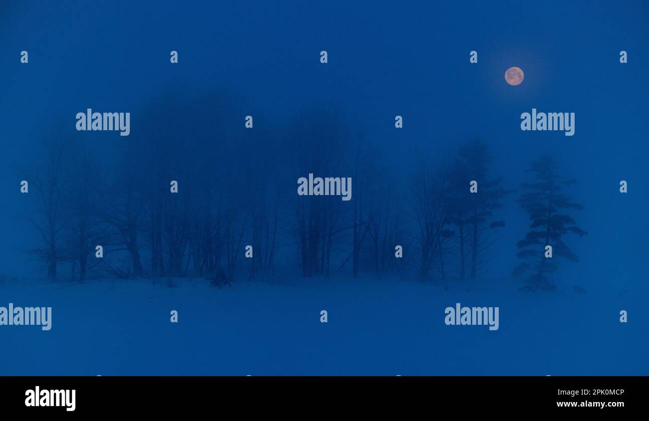 Moon rising over an island on the Chippewa Flowage in northern ...