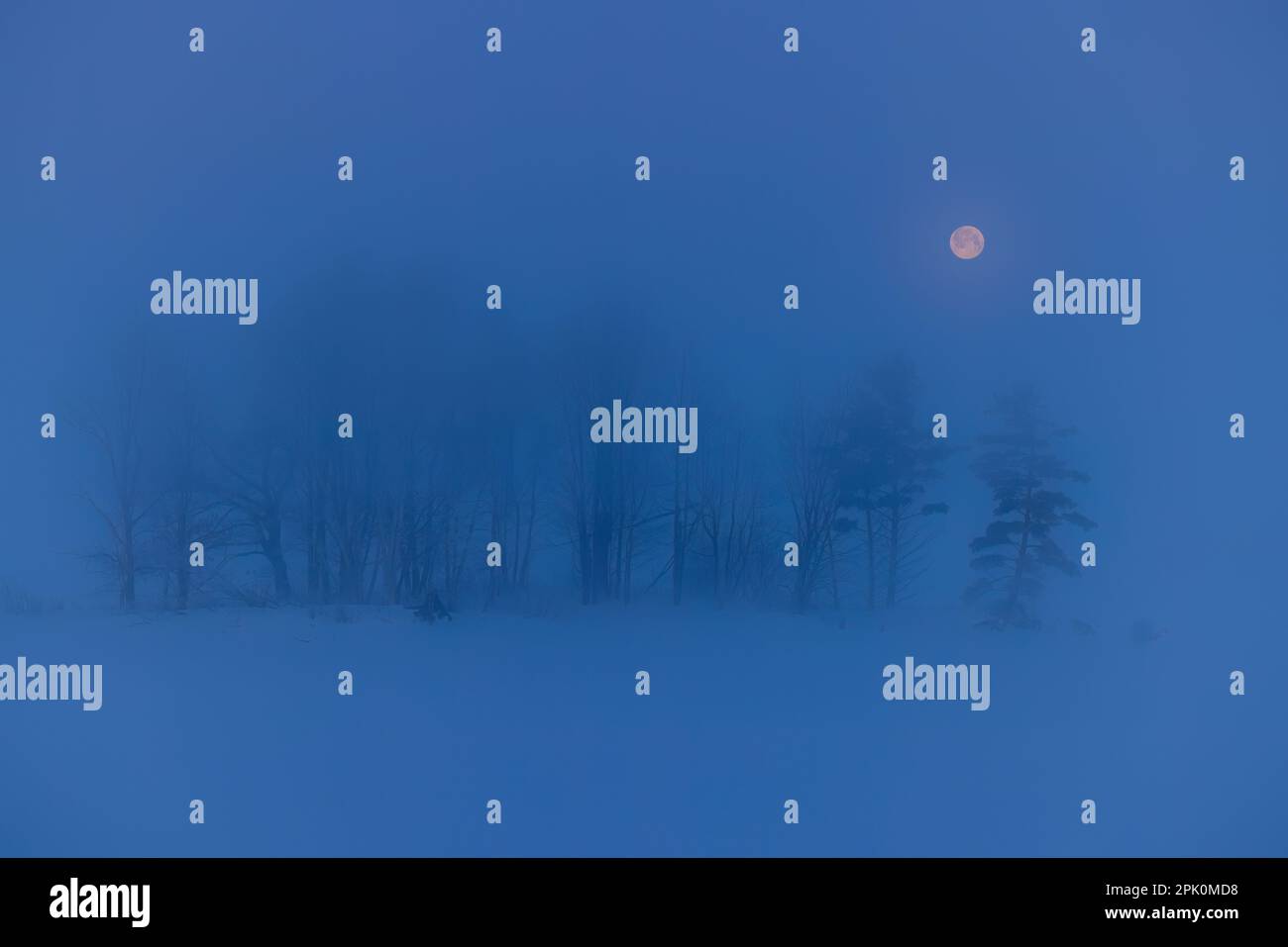 Moon rising over an island on the Chippewa Flowage in northern ...