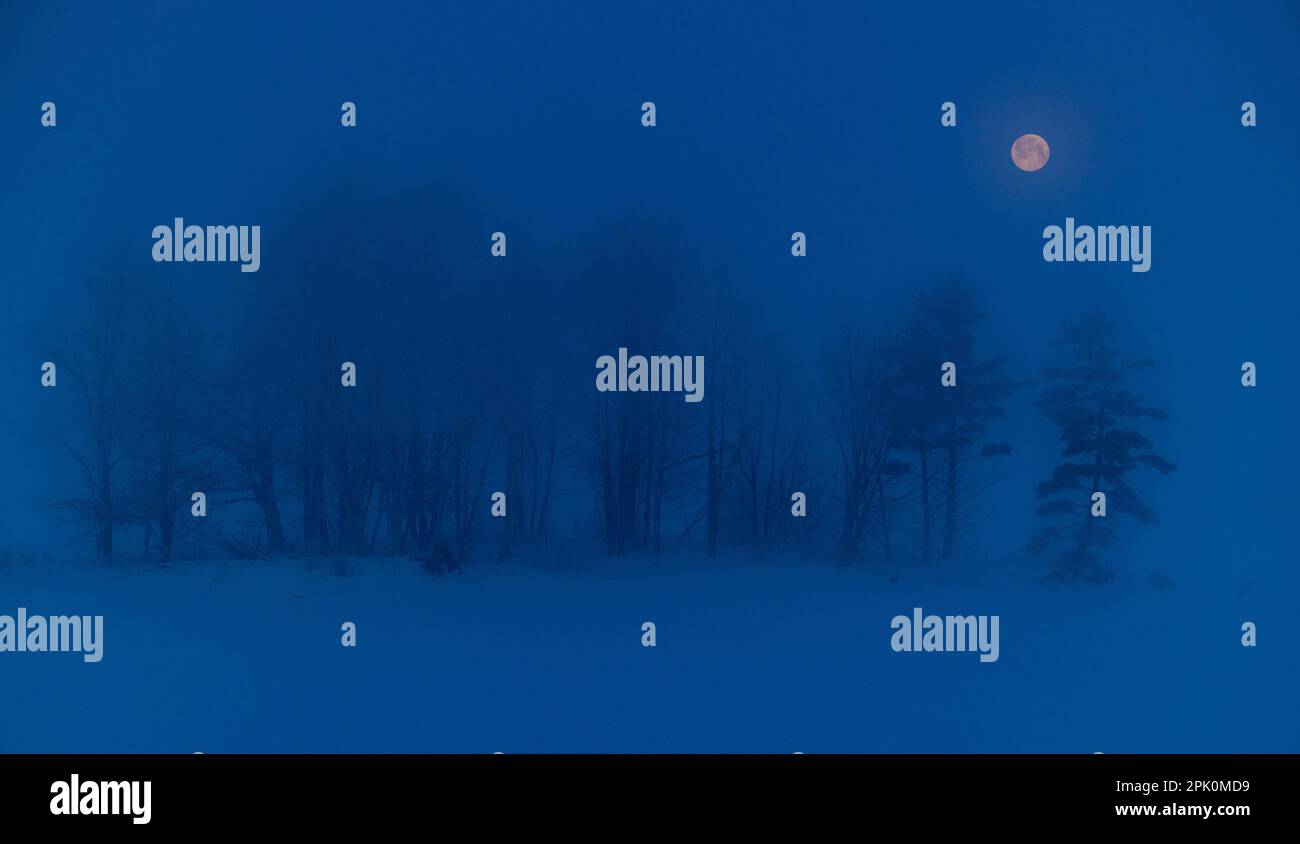 Moon rising over an island on the Chippewa Flowage in northern ...