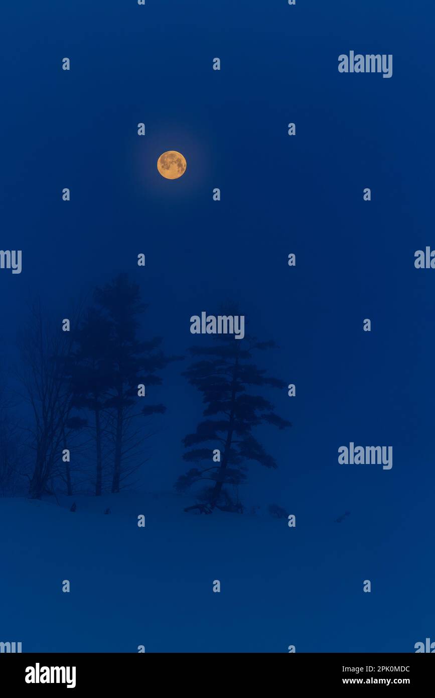 Moon rising over an island on the Chippewa Flowage in northern ...