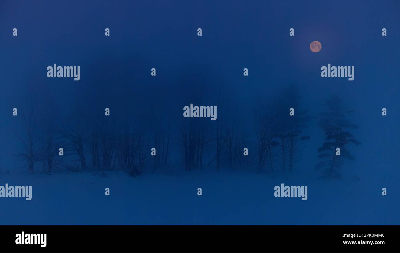 Moon rising over an island on the Chippewa Flowage in northern ...