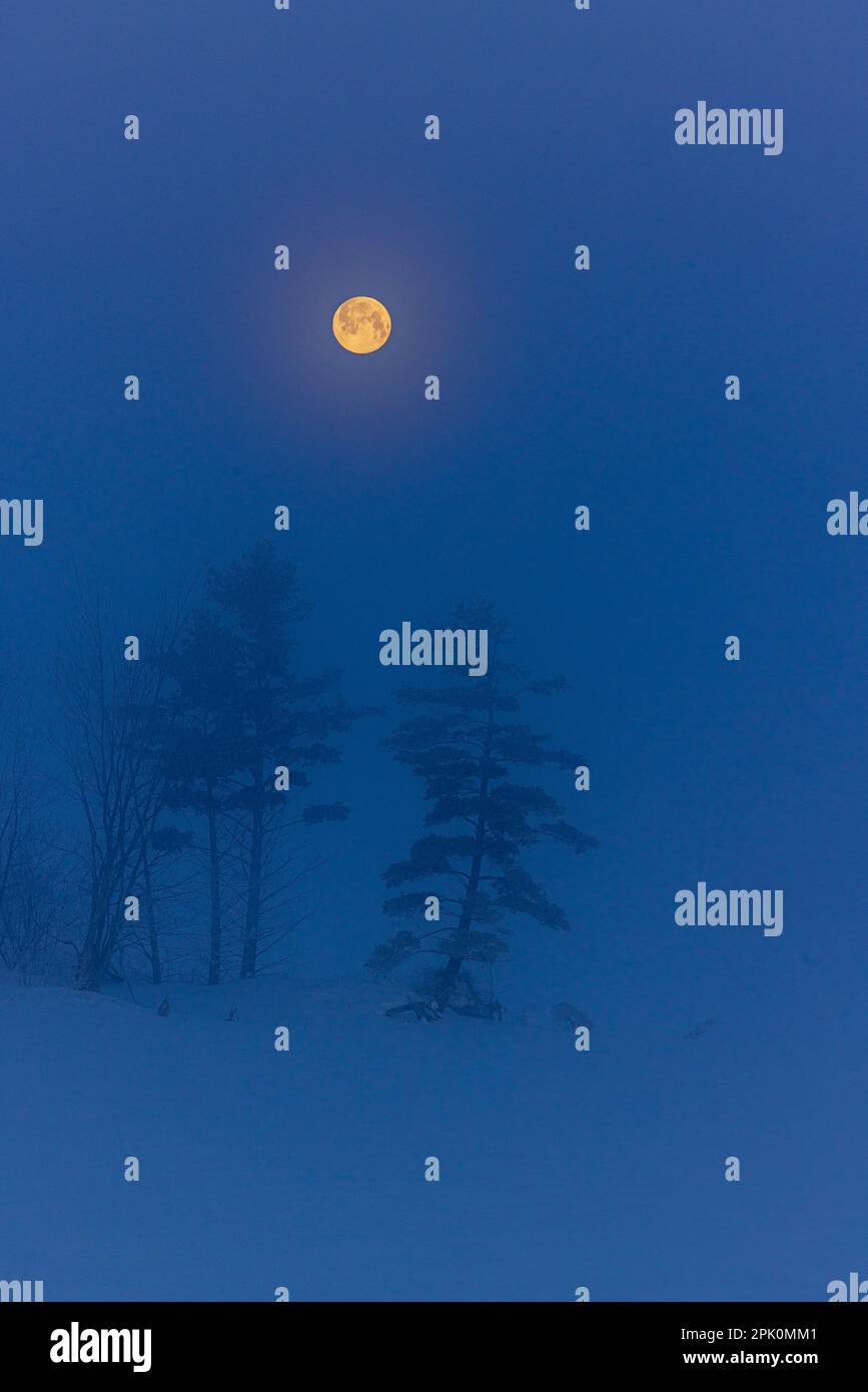 Moon rising over an island on the Chippewa Flowage in northern ...