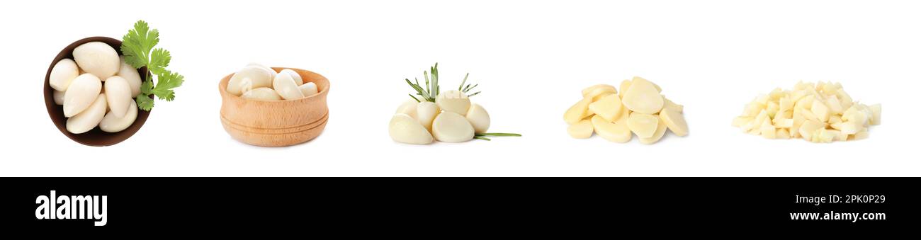 Set with preserved and fresh garlic on white background. Banner design ...