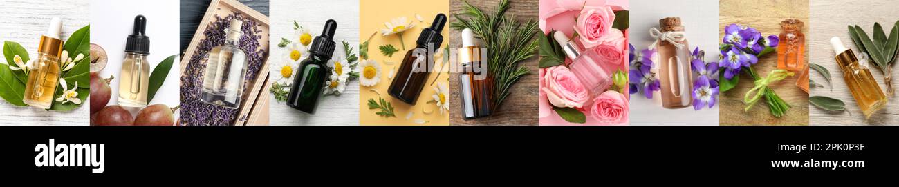 Collage with beautiful photos of different natural essential oils, top ...