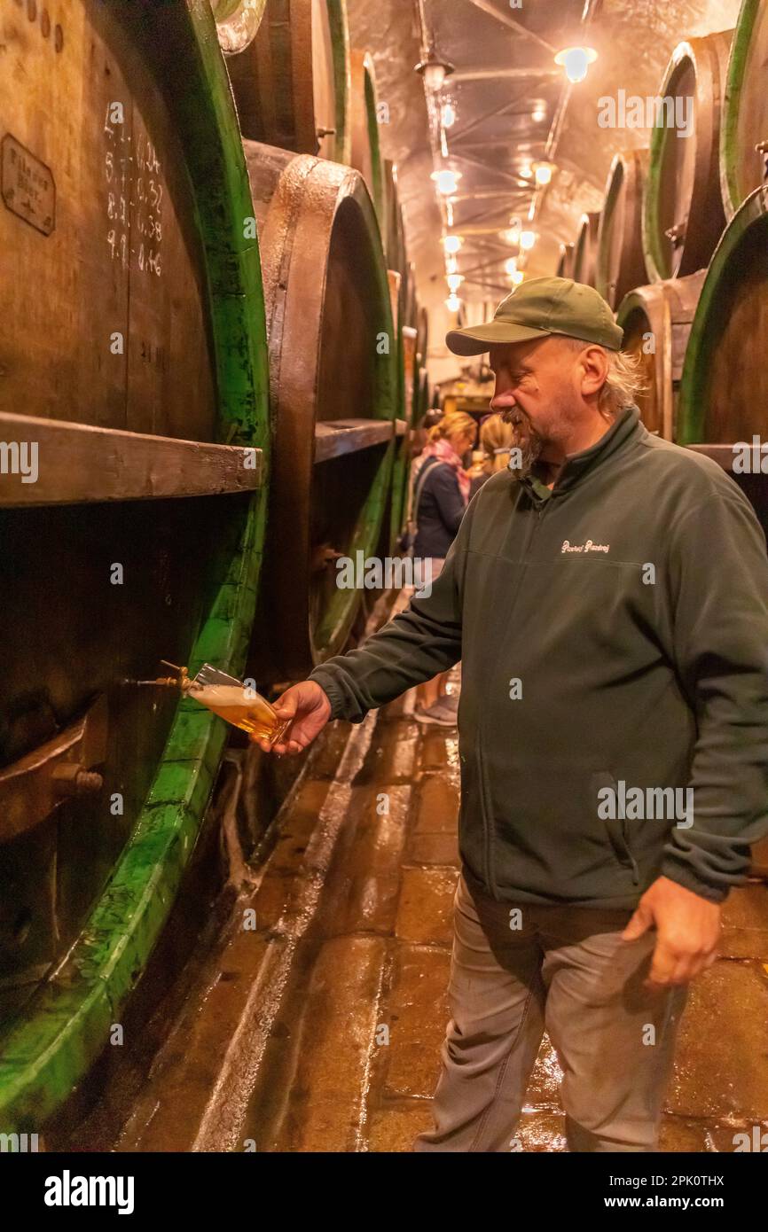 PILSEN, CZECH REPUBLIC, EUROPE - Pilsner Urquell Brewery. Worker taps a ...