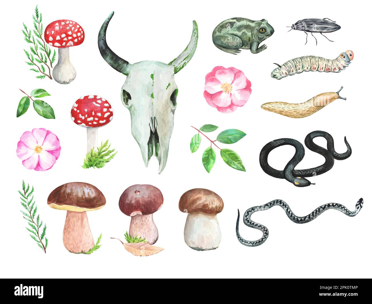 Elements pagan magic halloween Cut Out Stock Images & Pictures - Alamy