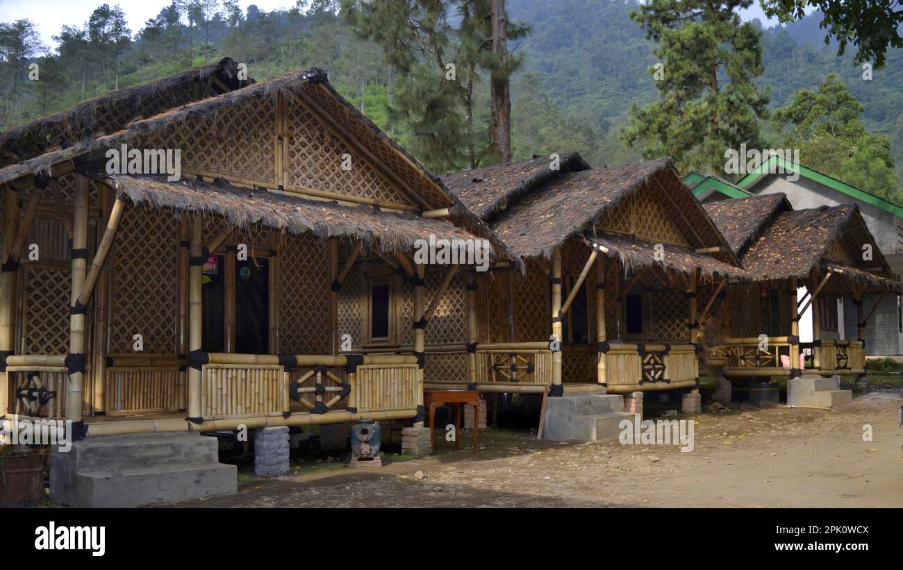 wooden beautiful cottages in the middle of the forest shot in daytime ...