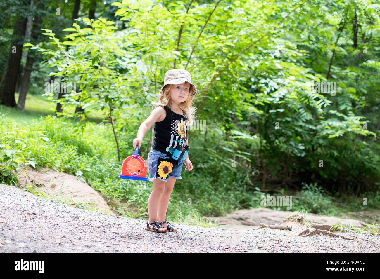 Learning insects hi-res stock photography and images - Alamy