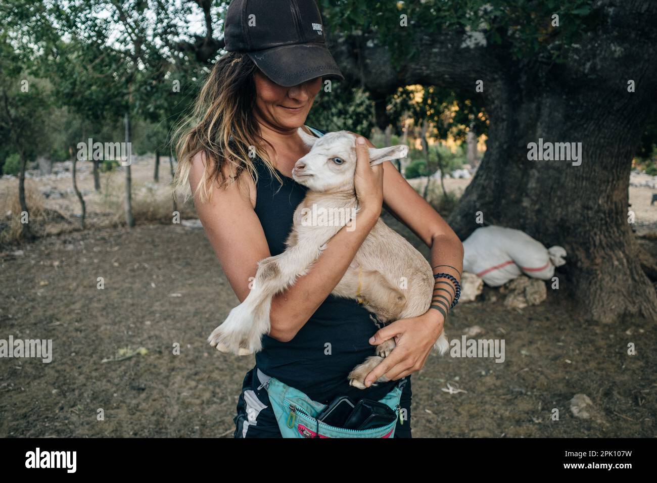 woman holds a lamb on her hands breeding and sheep breeding farm. High ...