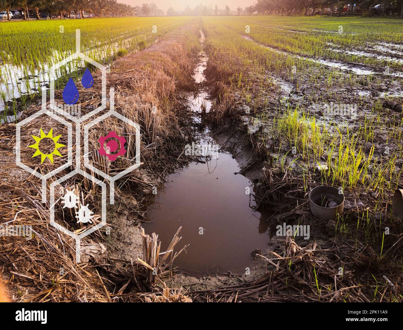 Agriculture field with high technologies and innovations in agro ...