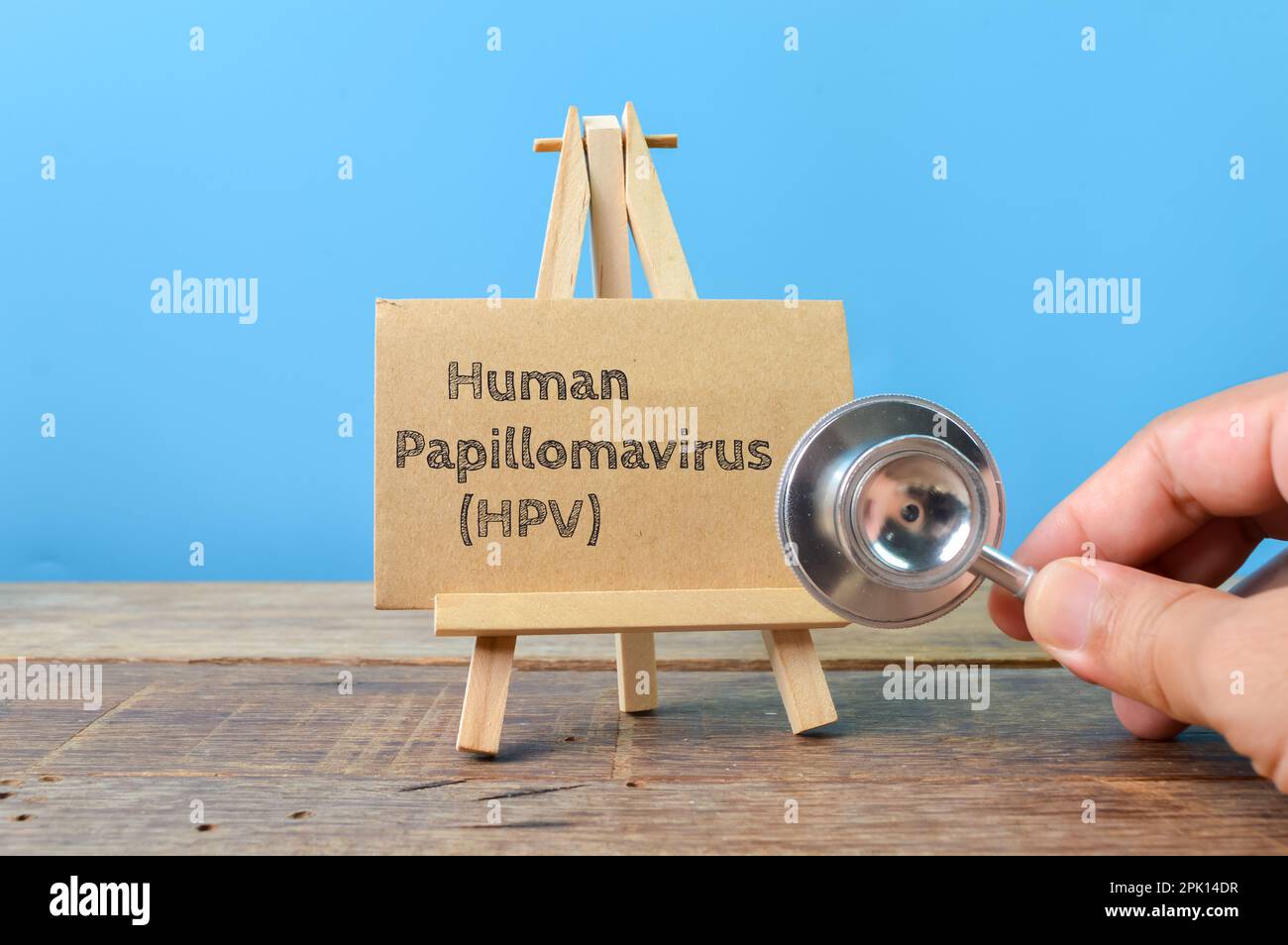 Human cervix hi-res stock photography and images - Alamy