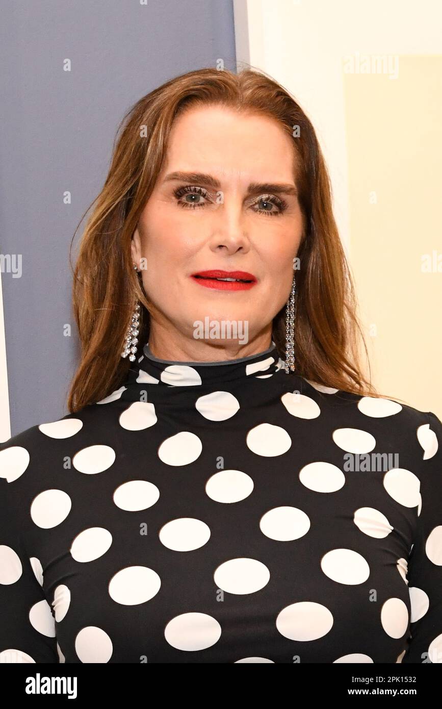 New York, USA. 04th Apr, 2023. Brooke Shields attends the 2023 Tribeca ...