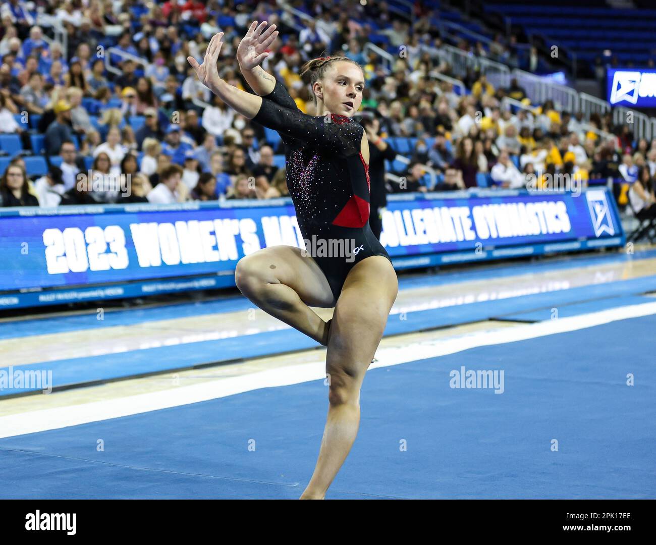 April 1 2023 Utahs Maile Okeefe Performs Her Floor Routine During