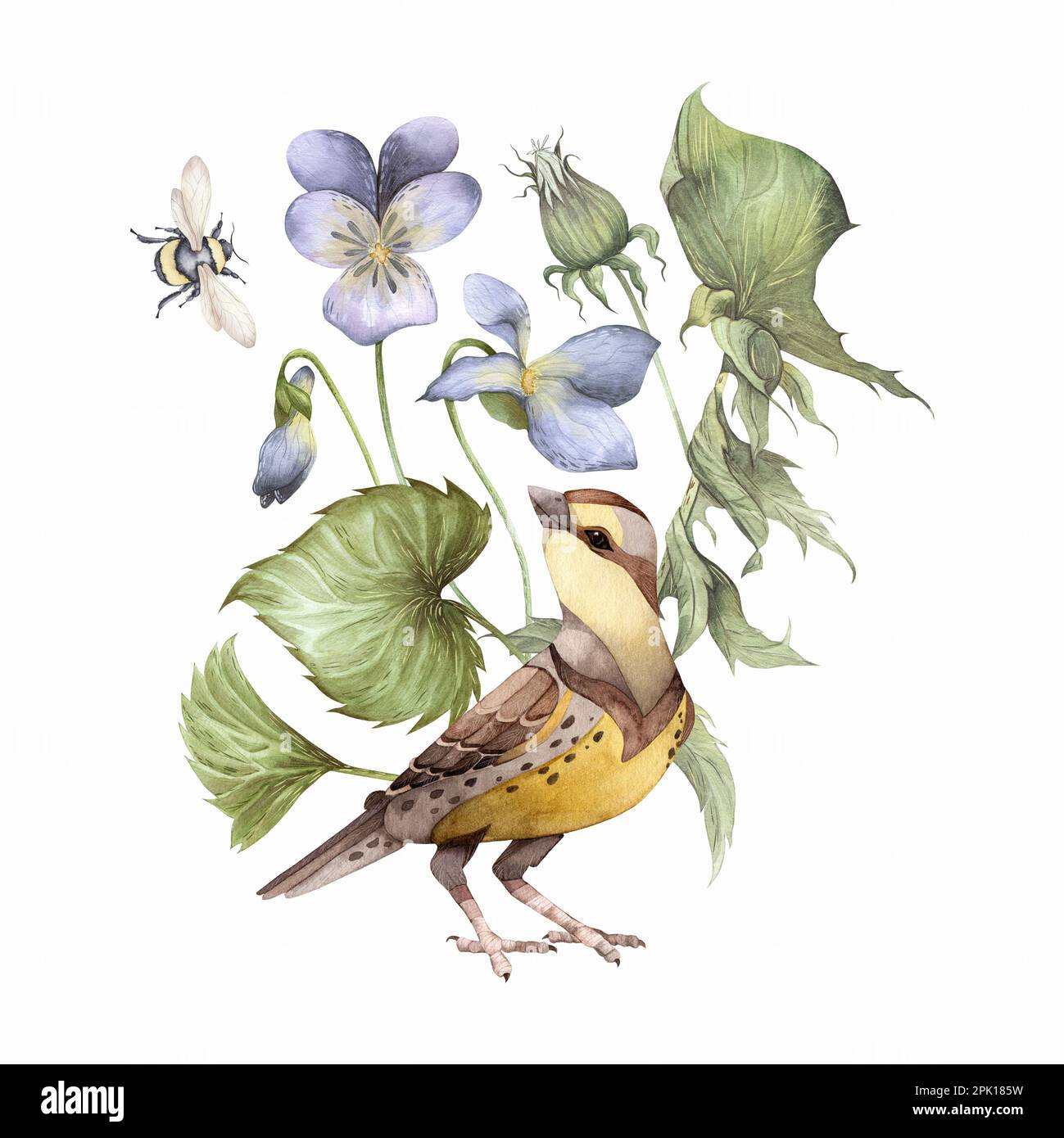 Watercolor hand drawn composition with bird, bumblebee and flowers ...