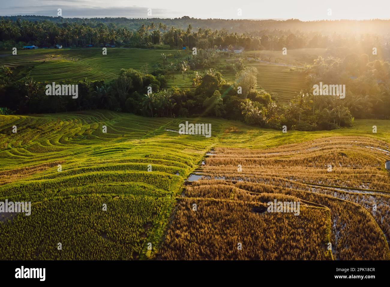 Aerial view of rice terraces with morning sunrise light. Countryside in ...