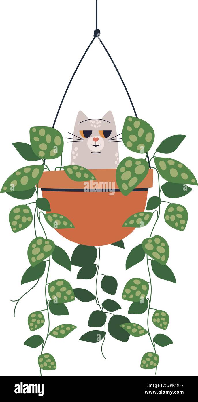 Cute cartoon kitten enjoys in a plant Stock Vector Image & Art - Alamy