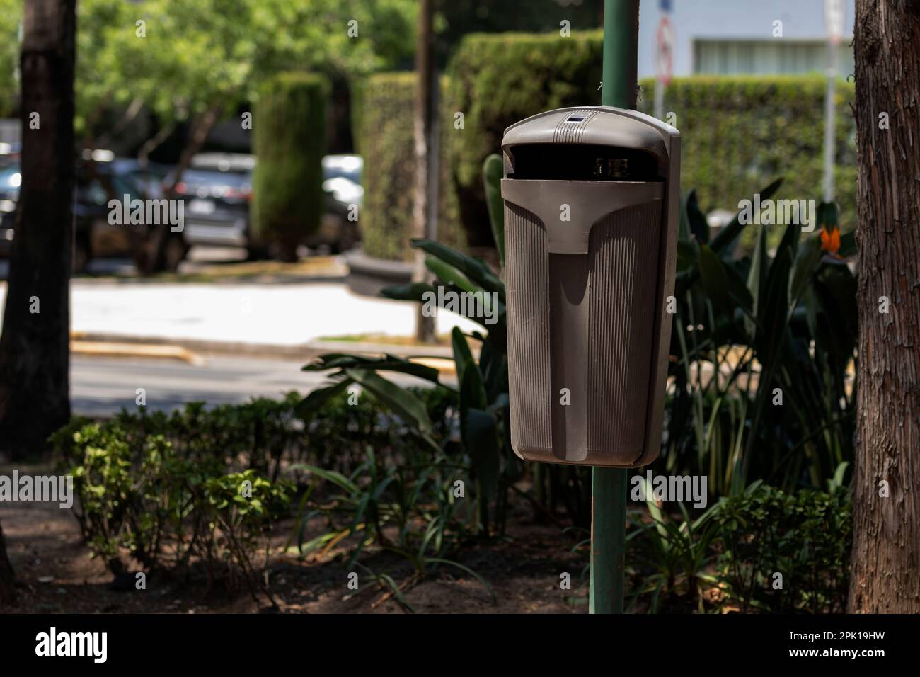Mexico city ecology hi-res stock photography and images - Alamy