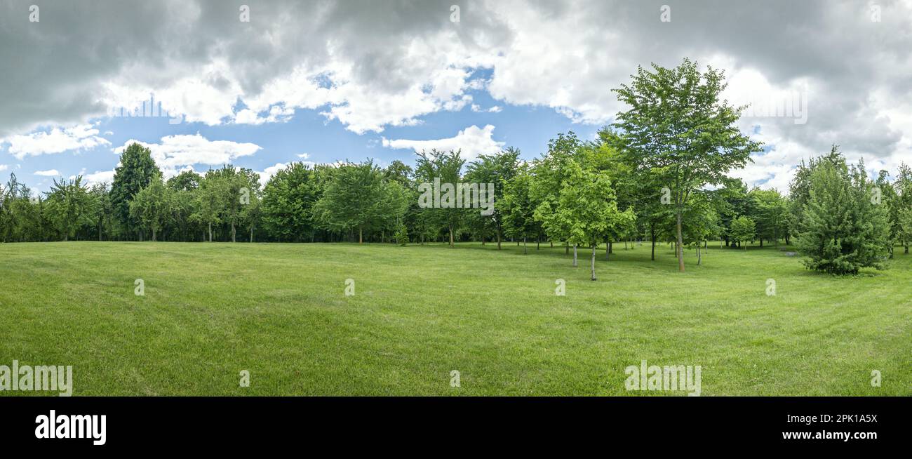 summer park scenery at cloudy day. panoramic view of green lawn and ...