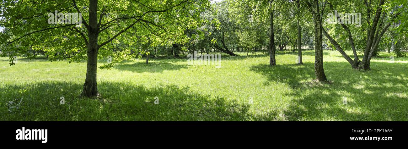 Garden park with nature summer trees hi-res stock photography and ...