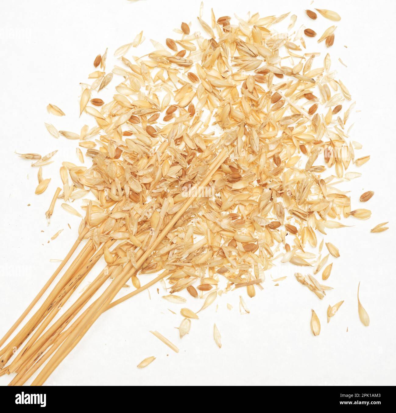 Husk and grain isolated on white background Stock Photo - Alamy