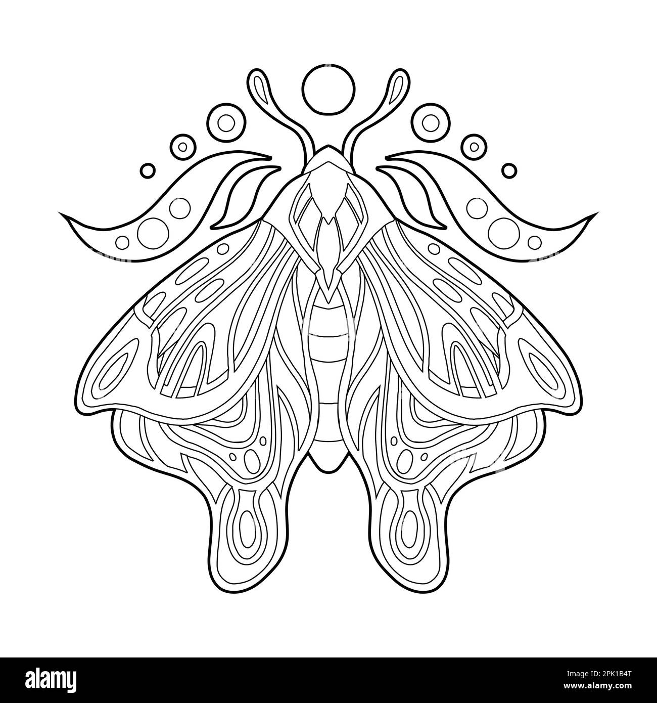 Vector sacred illustration of contour moth with the moon. Monochrome ...