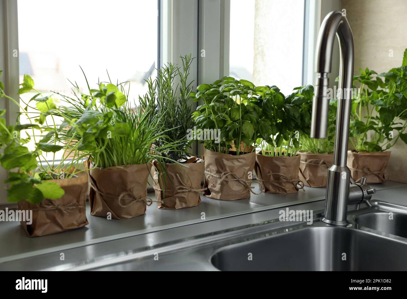 Different aromatic potted herbs on window sill near kitchen sink Stock ...