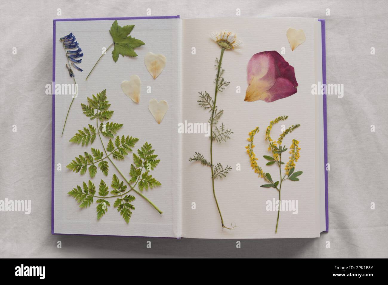 Book with dried flowers and leaves on white fabric, top view Stock ...