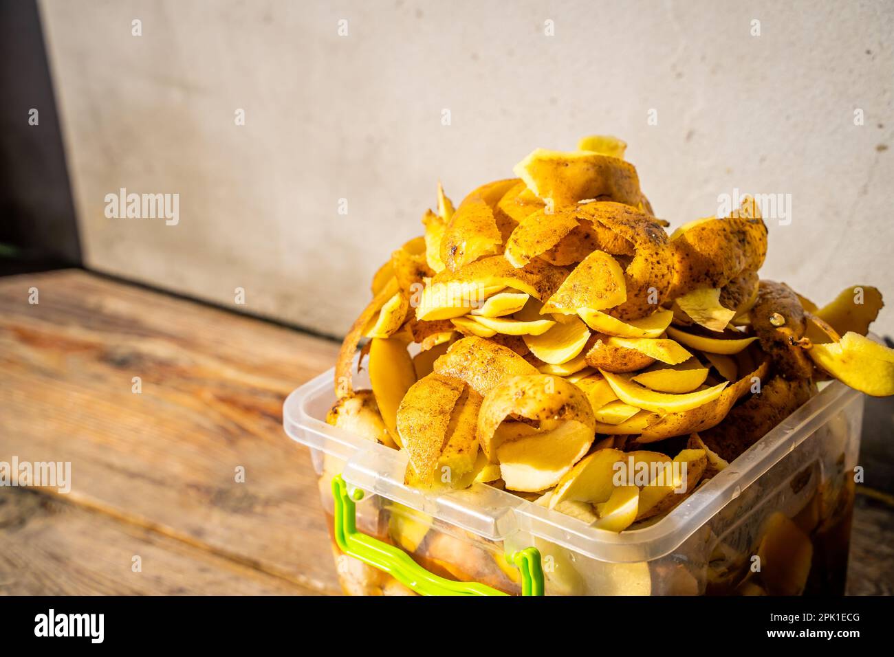 Potato peel in a plastic container, close-up. Food waste sorted ...