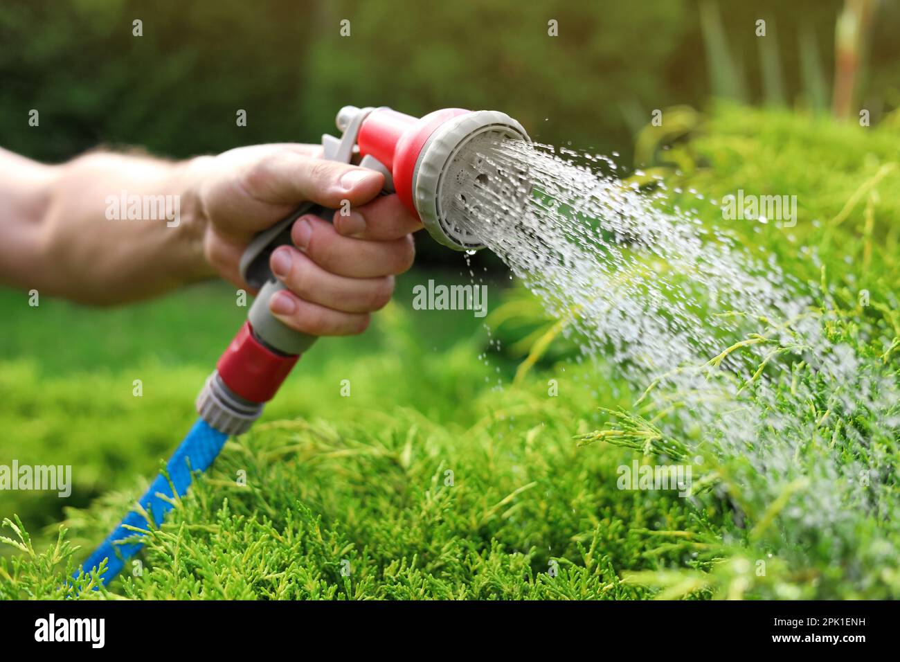 Man watering green grass from hi-res stock photography and images - Alamy