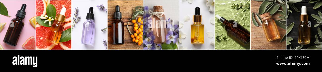 Collage with beautiful photos of different natural essential oils, top ...