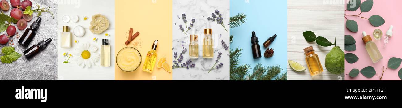 Collage with beautiful photos of different natural essential oils, top ...